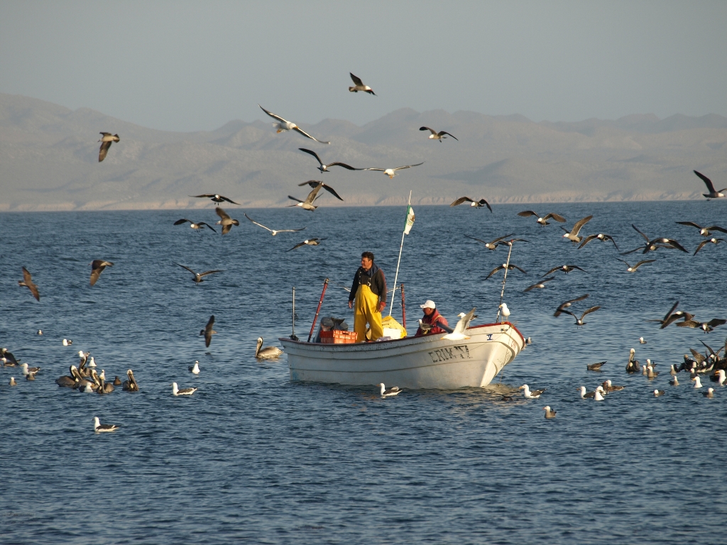 Preserving California’s Fisheries - California Ocean Protection Council