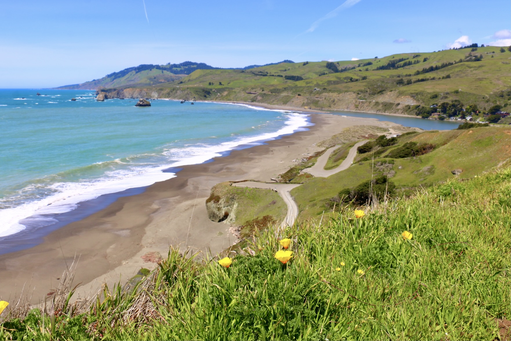 California Biodiversity Day 2021 – Get Involved! - California Ocean ...