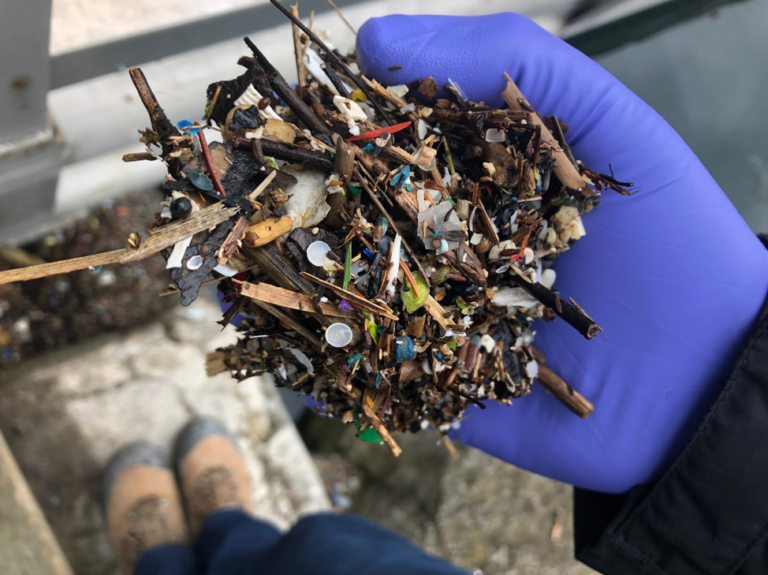 Landmark Statewide Microplastics Strategy Recommends Early Actions and ...