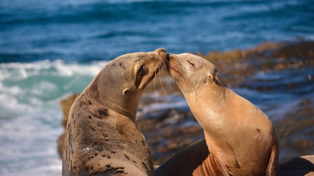 Ocean Acidification and Hypoxia - California Ocean Protection Council