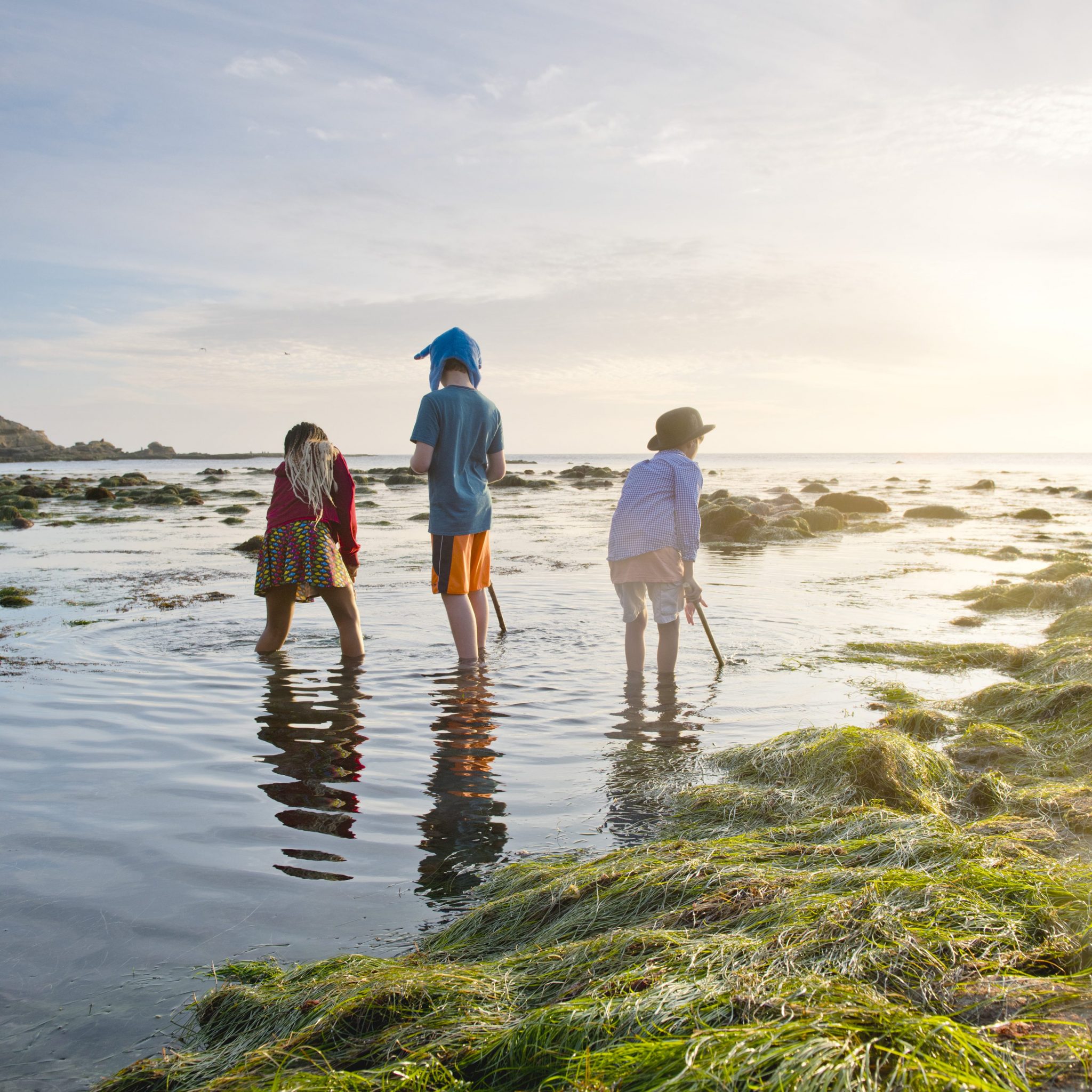 - California Ocean Protection Council