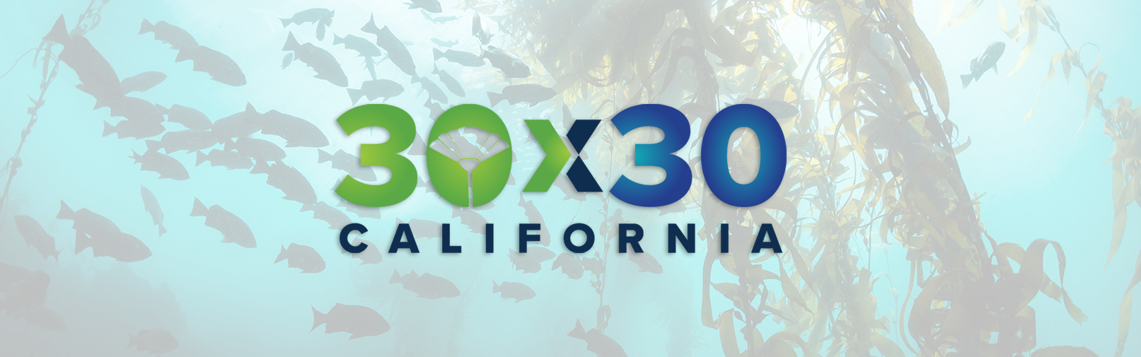 30x30: Conserving 30% of California’s Coastal Waters by 2030 ...