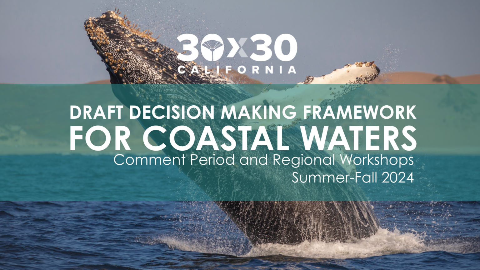 30x30: Conserving 30% of California’s Coastal Waters by 2030 ...