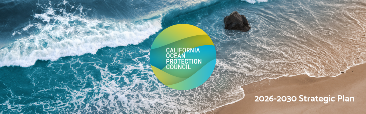 OPC’s Draft 2026–2030 Strategic Plan Now Available - Webinar June 18 ...